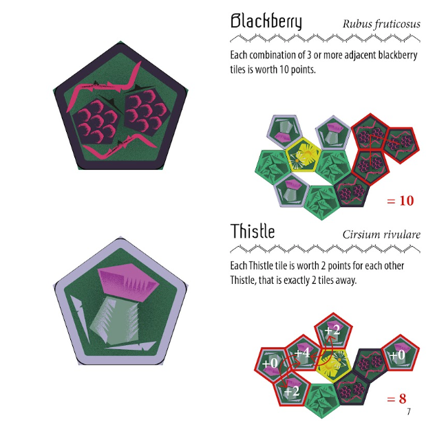 Unkraut – PNPArcade