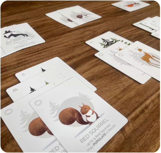 Winterhaven Woods – PNPArcade